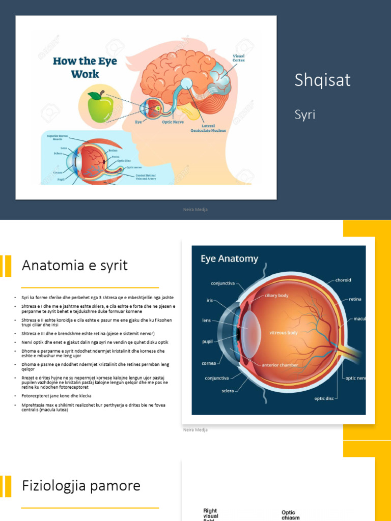 F.humane Syri | PDF