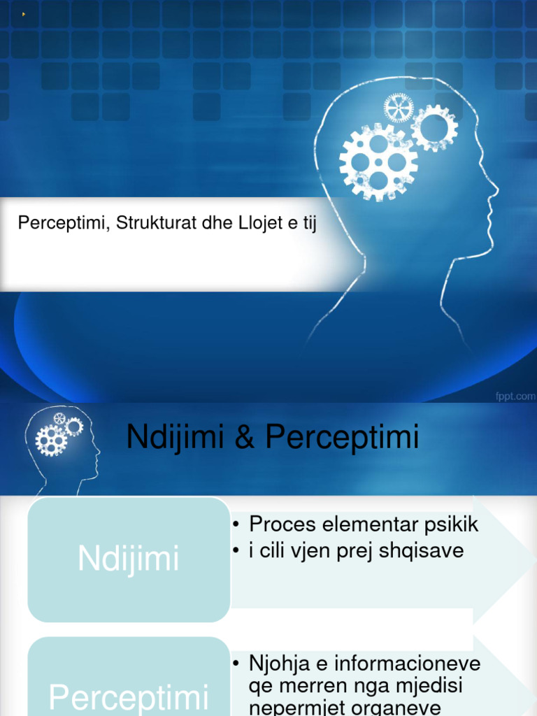 Ndijimi Dhe Perceptimi | PDF