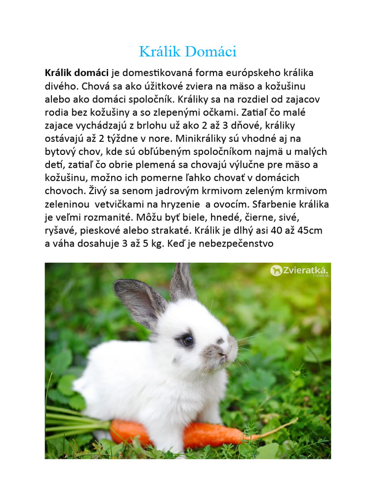 Králik Domáci | PDF