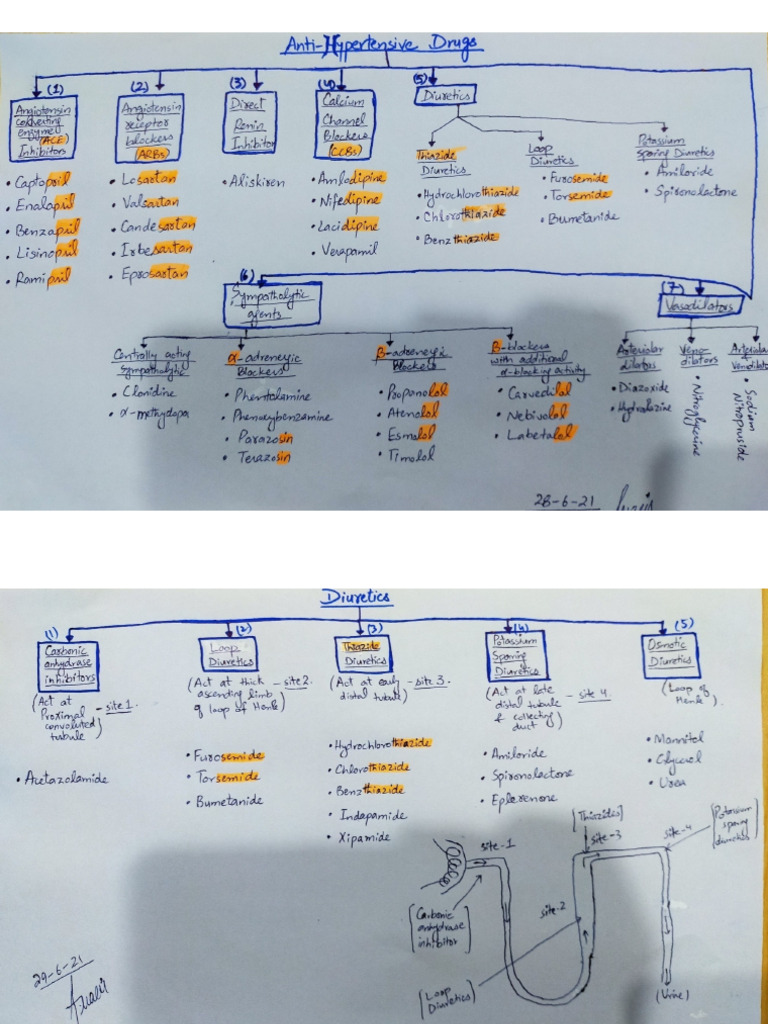 CVS DRUGS CLASSIFICATIONS-1 | PDF