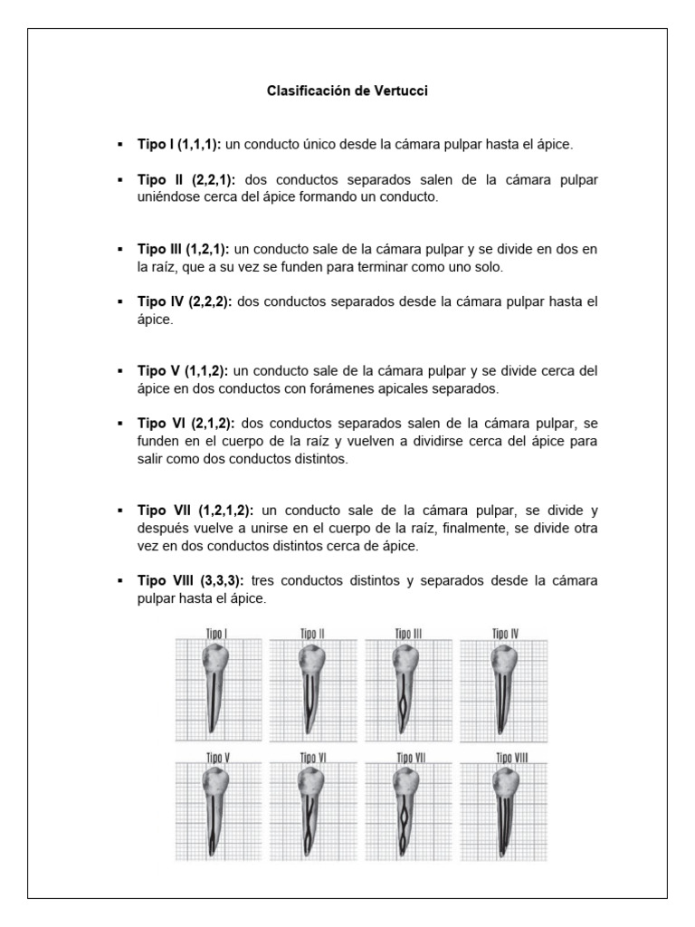 Clasificación de Vertucci | PDF | Ciencias sociales | Ciencia y matemáticas
