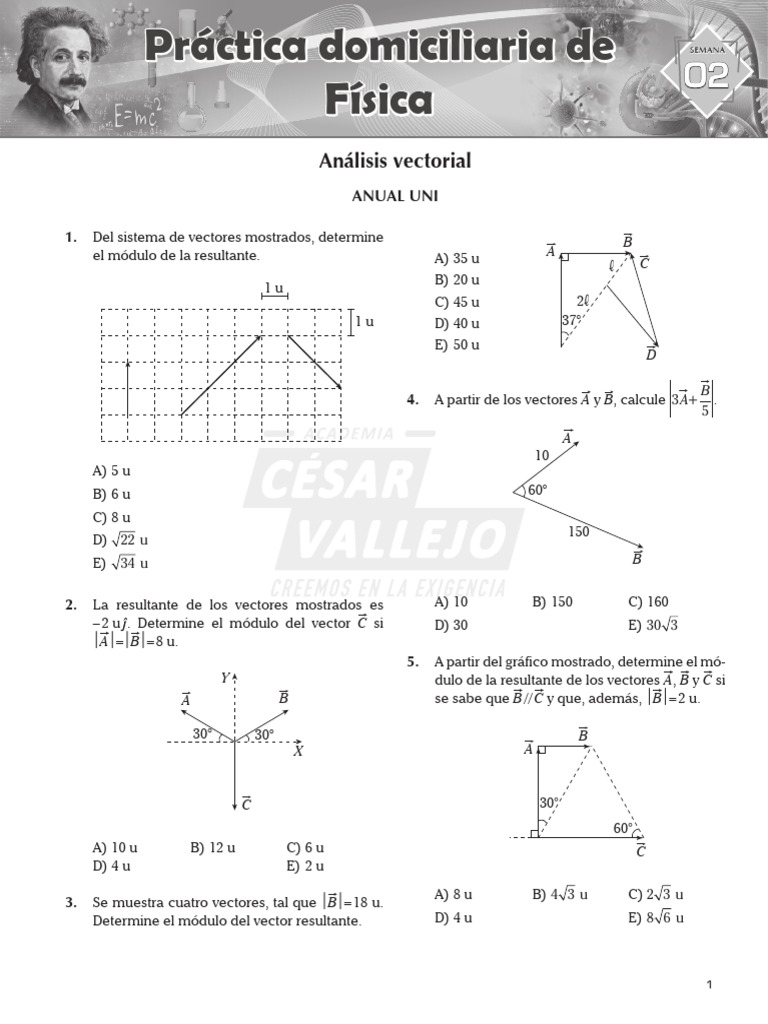 practica fisica 1 | PDF | Vector Euclidiano | Álgebra lineal