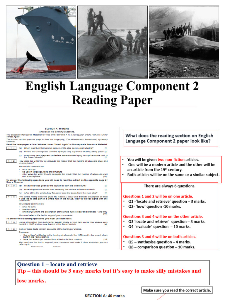 English Language Component 2 Ppoint Nov 17 Paper Whales | PDF | Whaling ...
