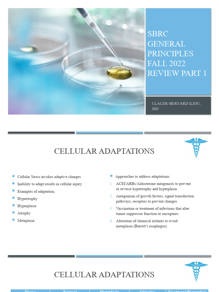 SBRC General Principles | PDF | Epithelium | Apoptosis