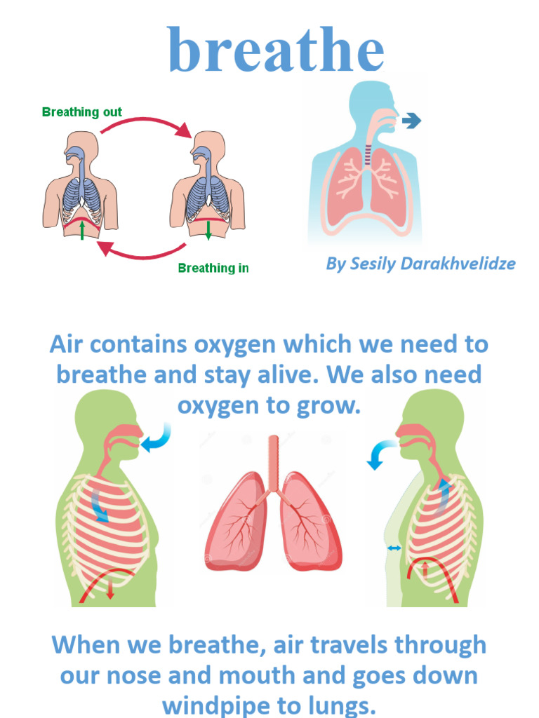 How We Breathe Sesili | PDF