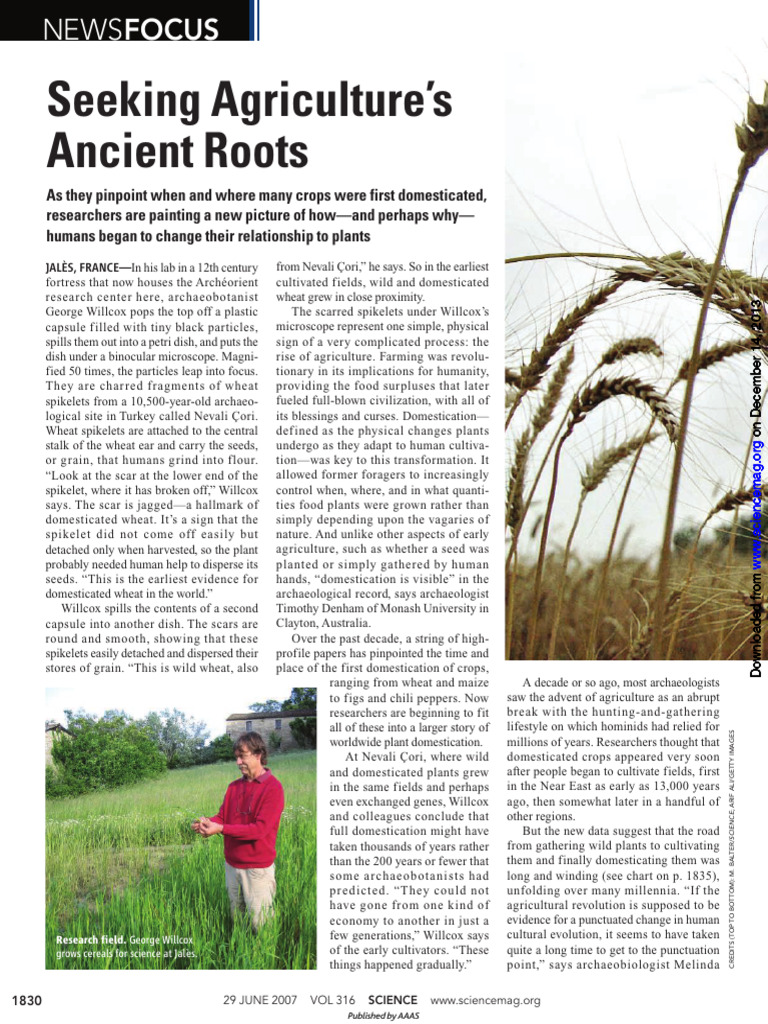 Balter 2007 - Seeking Agricultures Ancient Roots | PDF | Maize ...