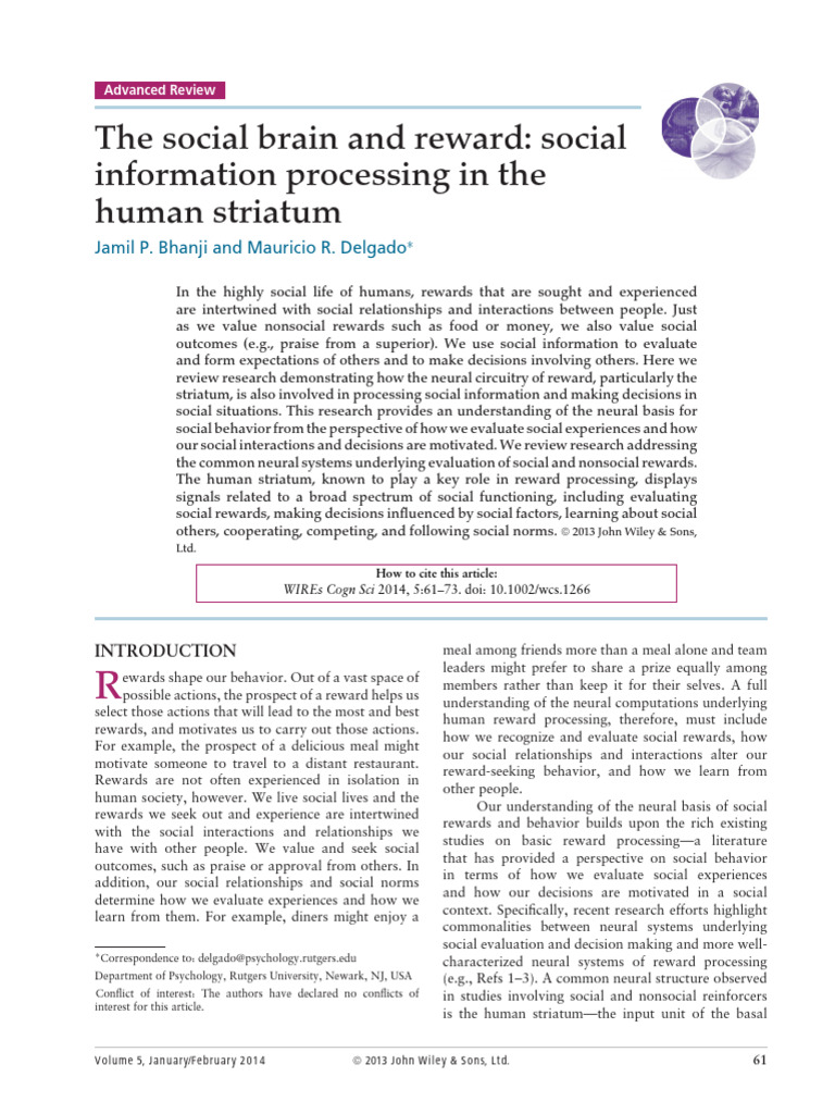 The social brain and reward: social information processing in the human striatum | PDF | Reward ...