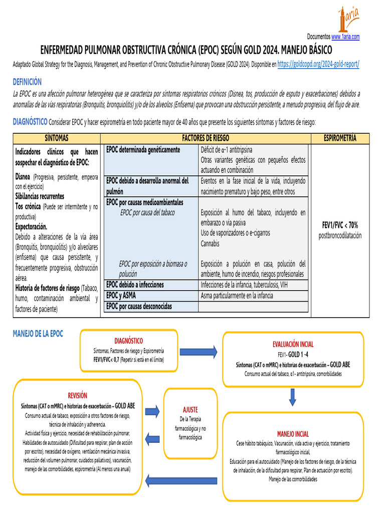 EPOC según GOLD 2024: Manejo y Tratamiento | PDF | Enfermedad pulmonar ...
