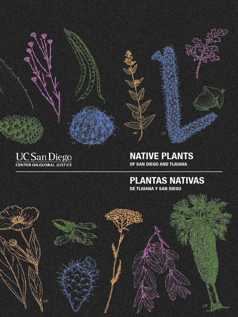Native Plants Manual - 2023 - Pages | PDF | Ciencias de la Tierra ...
