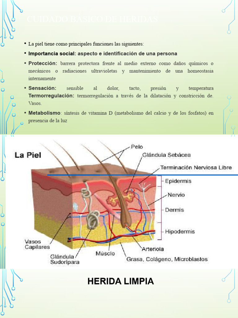 Manejo Basico de Heridas | PDF | Herida | Sistema linfático Manejo Basico de Heridas | PDF | Herida | Sistema linfático