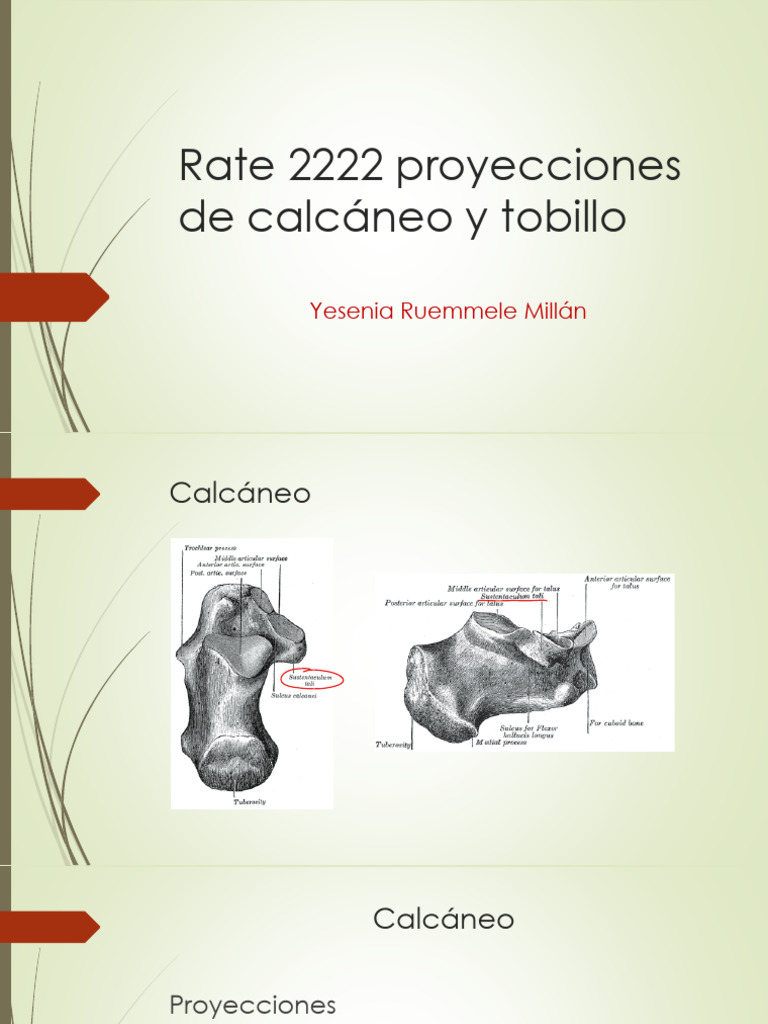 Rate 2222 Proyecciones de Calcáneo y Tobillo | PDF | Tobillo | Sistema ...