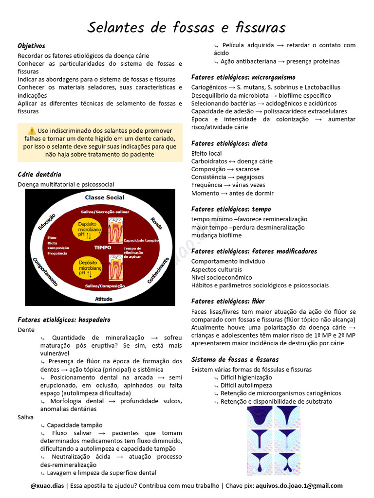 B05 - Selantes de Fossas e Fussuras | PDF | Dente | Odontologia
