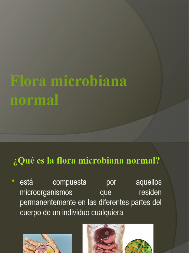 Flora Microbiana: Guía Esencial | PDF | Las bacterias | Biología