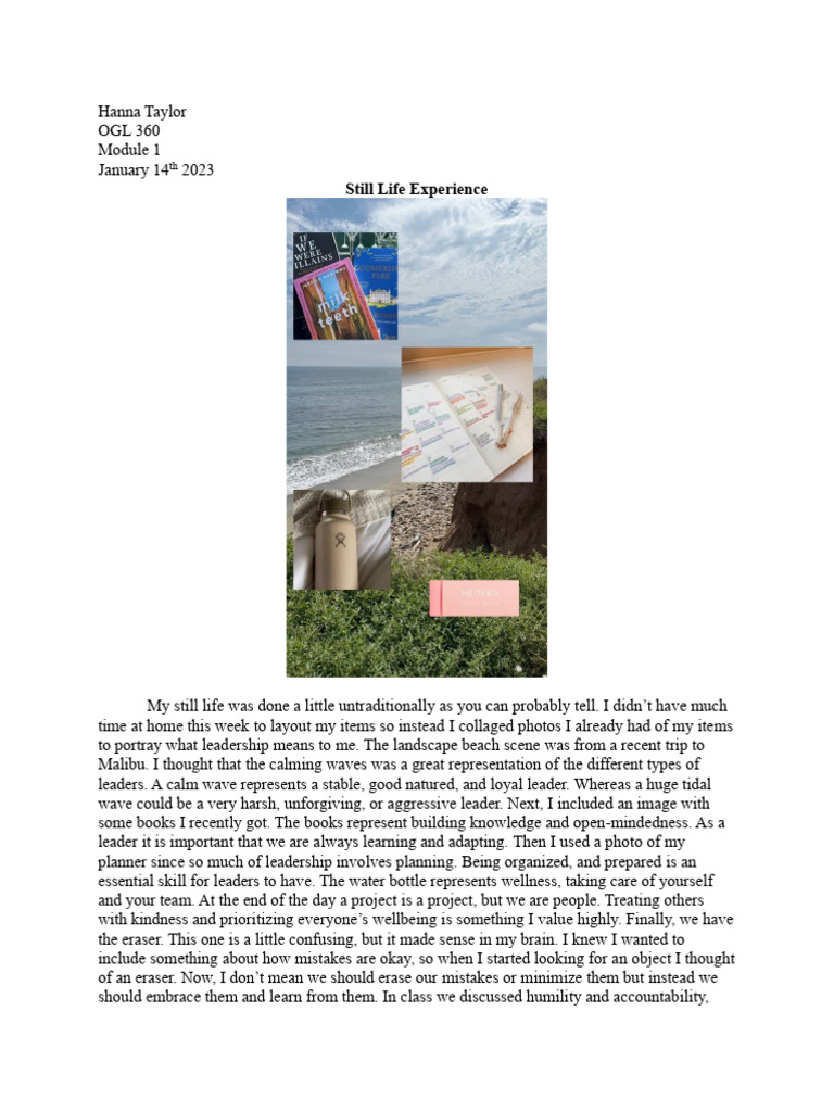 Still Life Reflection | PDF