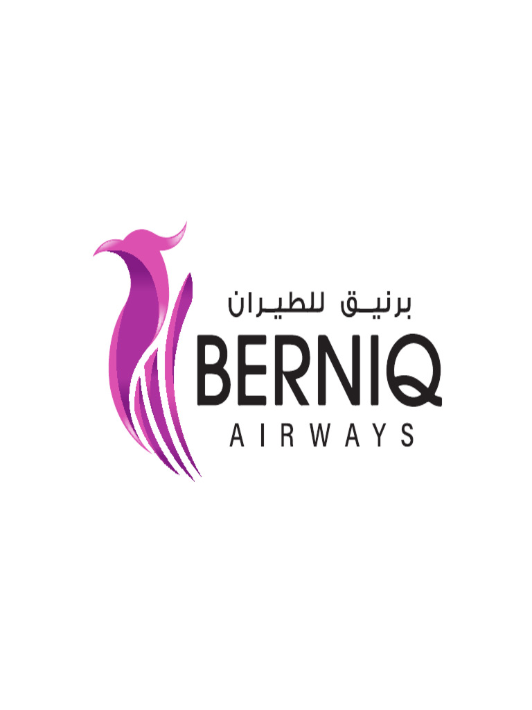 Berniq Logo | PDF