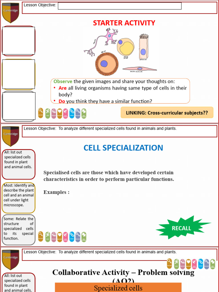 Cell Organisation - L2 Specialised Cells | PDF | Cell (Biology) | Plants