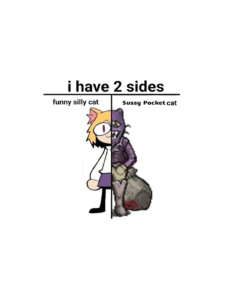 Stolen Meme | PDF