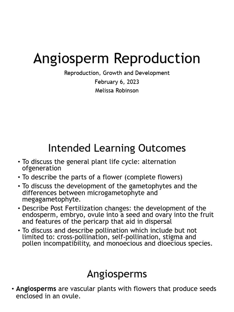 Reproduction PPT 3 ANGIOSPERMS | PDF | Fruit | Fertilisation