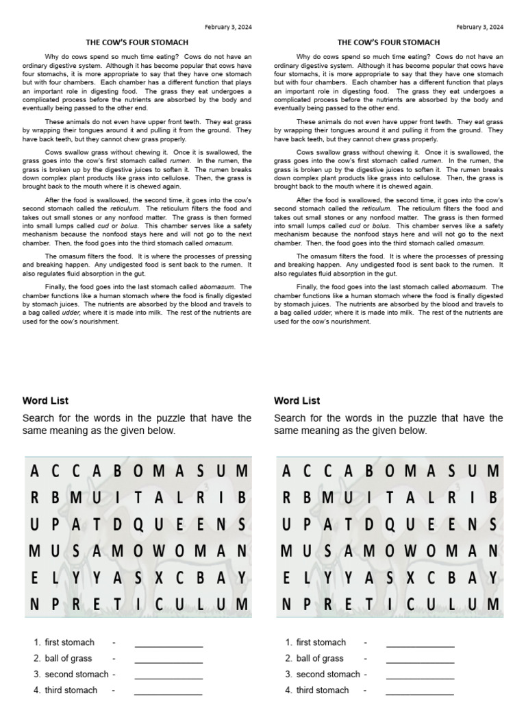 Understanding Cow Stomach Chambers | PDF | Digestion | Stomach