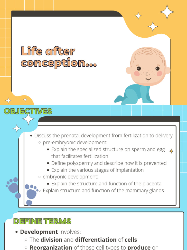 Reproduction PPT 6 PHYSIOLOGY OF PREGNANCY | PDF | Placenta | Fertilisation