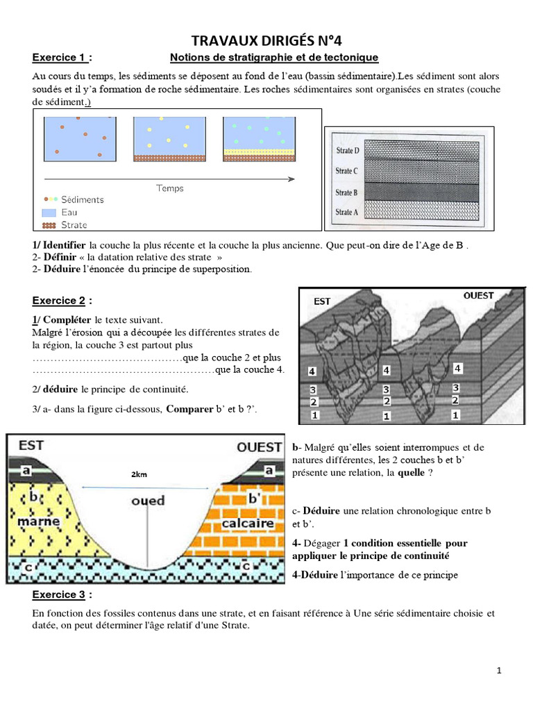 Stratigraphie et Principes Géologiques | PDF | Fossile | Strate