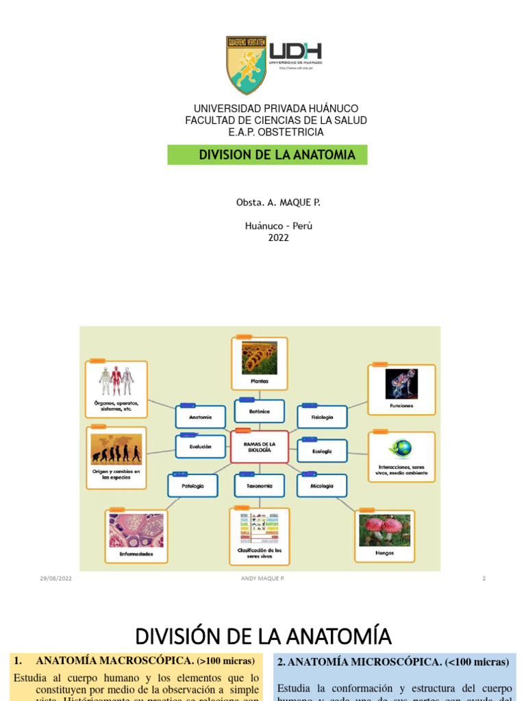 Division de La Anatomia | PDF | Morfología (biología) | Anatomía