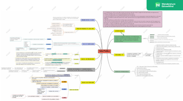 Mapa resumen salud publica(2) | PDF