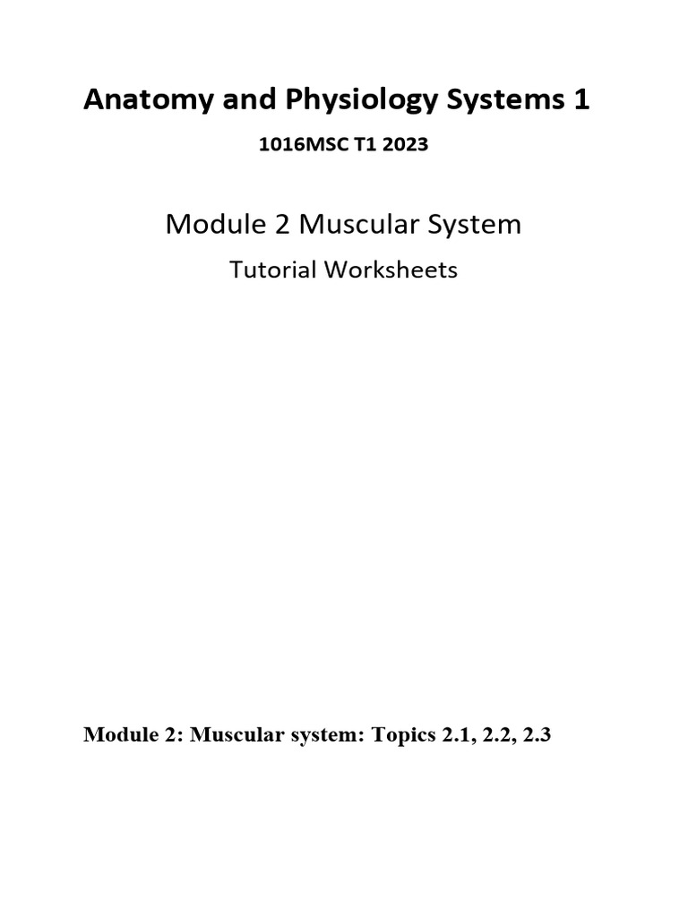 1016MSC T1 2023 Module 2 Muscular System Tutorial Worksheets-1 | PDF ...