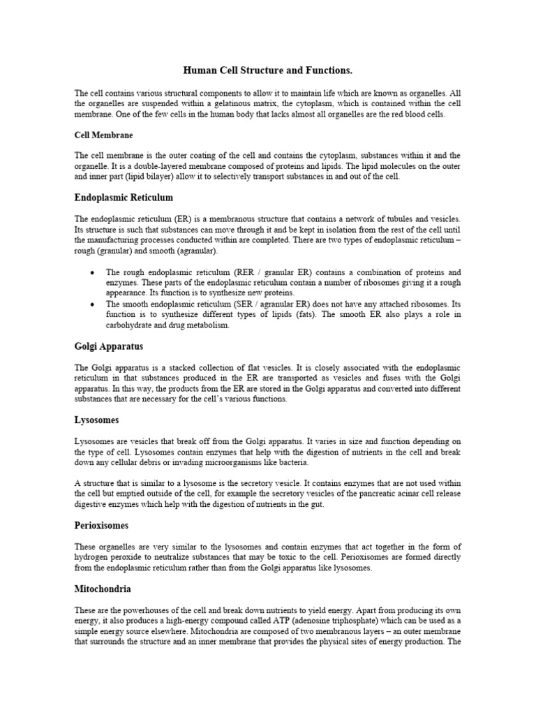 Mapa Mental. Human Cell Structure and Functions | Download Free PDF ...