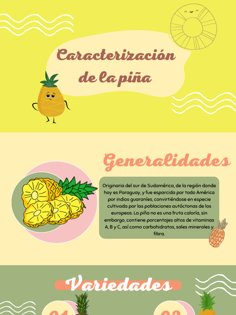 Caracterización de La Piña | PDF | Piña | Nutrición