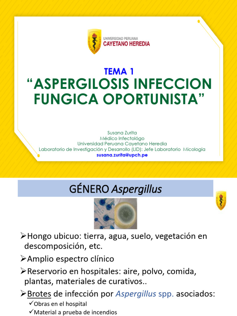 Tema1 - Aspergilosis Infeccion Fungica Oportunista | PDF | Neumonía | Epidemiología