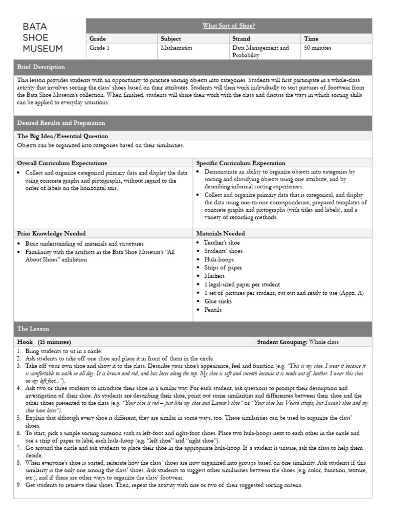 Grade 1 Lesson Plan | PDF | Shoe | Curriculum