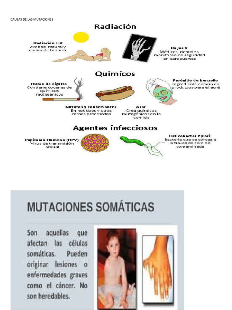 Causas de Las Mutaciones | PDF