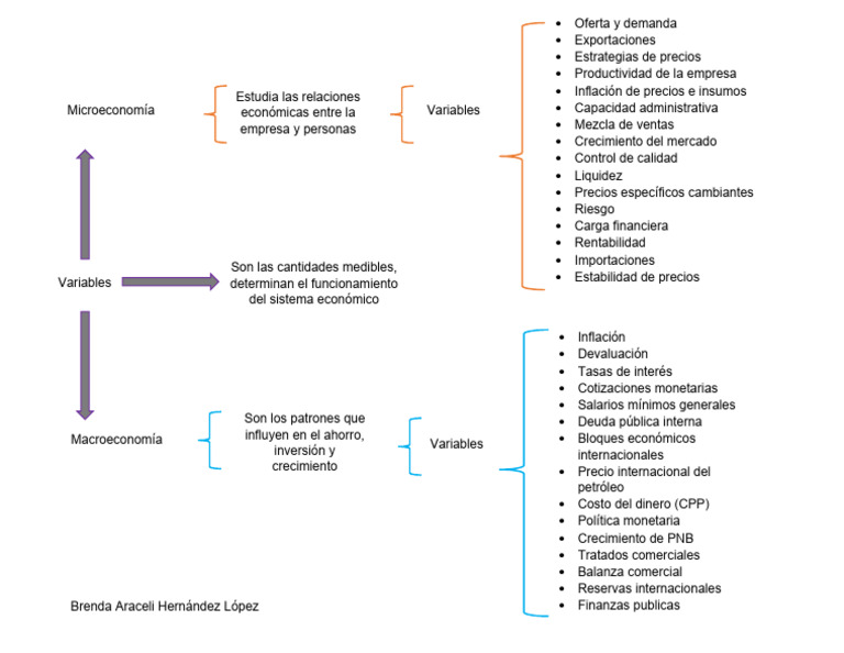 Brenda Araceli Esquema Micro y Macro Economia | PDF | Inflación | Economias