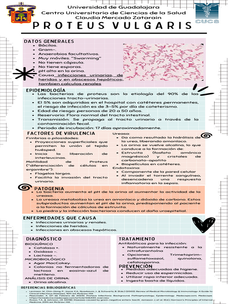 Infecciones por Proteus: Causas y Tratamiento | PDF | Las bacterias ...