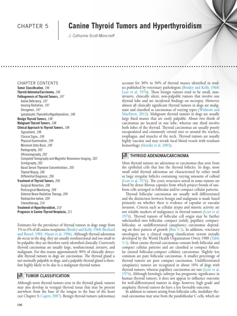 Chapter 5 - Canine Thyroid Tumors and Hyperthyroidism | PDF | Thyroid | Hyperthyroidism