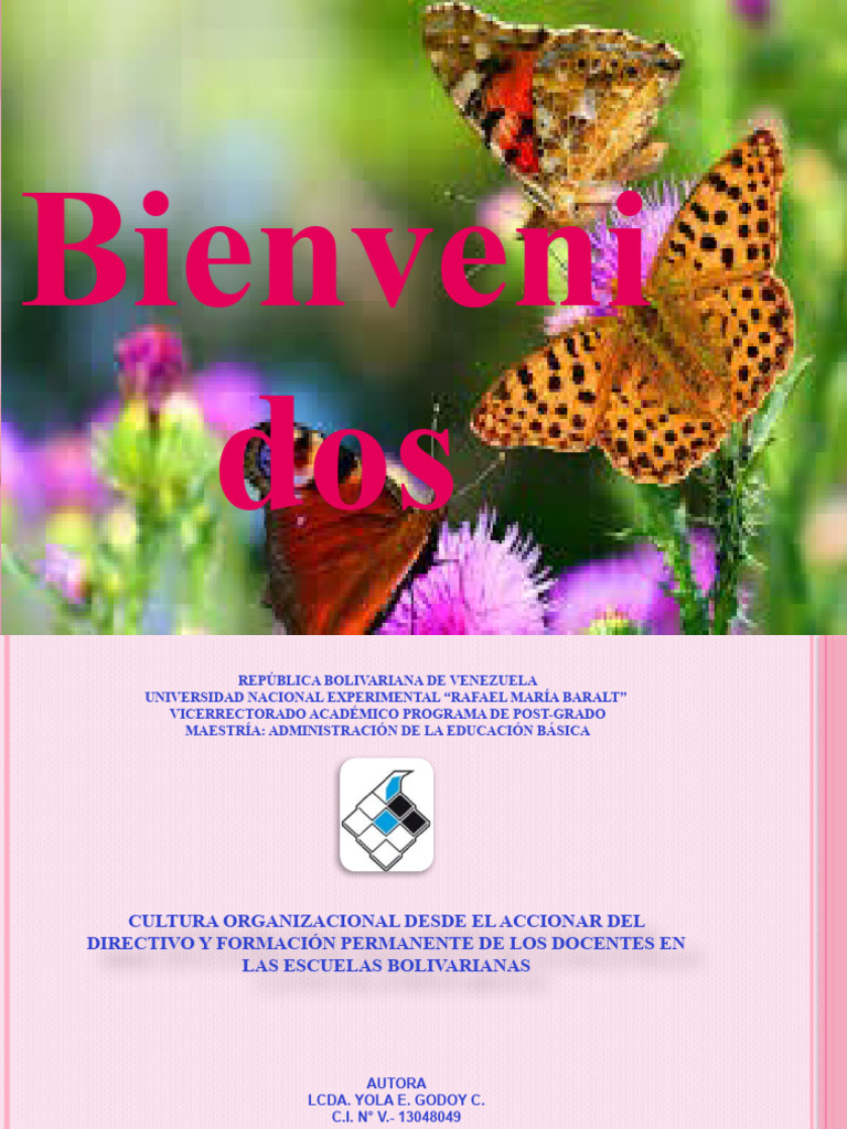 Presentacion Yola | PDF | Maestros | Validez (Estadísticas)