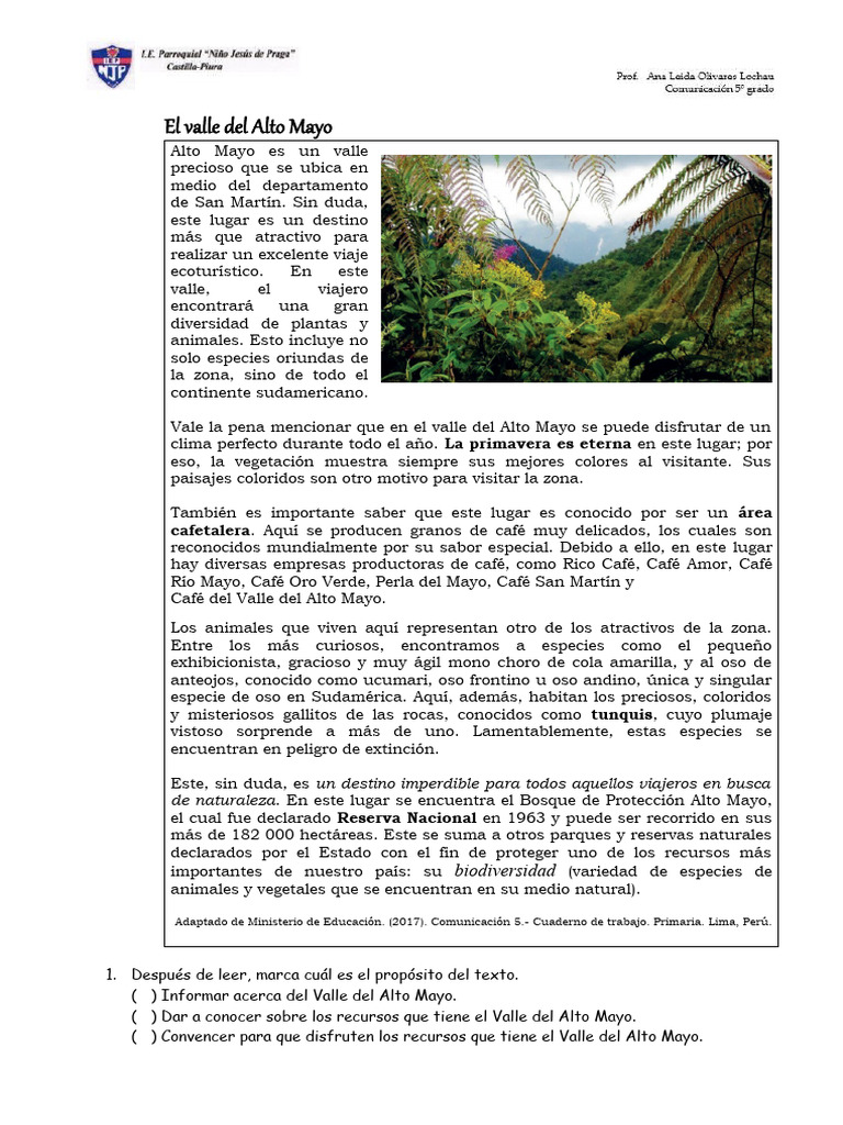 El Valle Del Alto Mayo | PDF | café