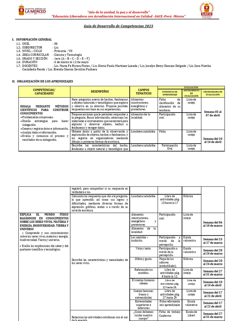 1P_GUIA_DE_DESARROLLO_DE_COMPETENCIAS_-_2023 | PDF | Aprendizaje | Maestros