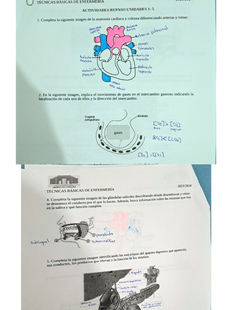 Escaneado - 20231113-0034 | PDF