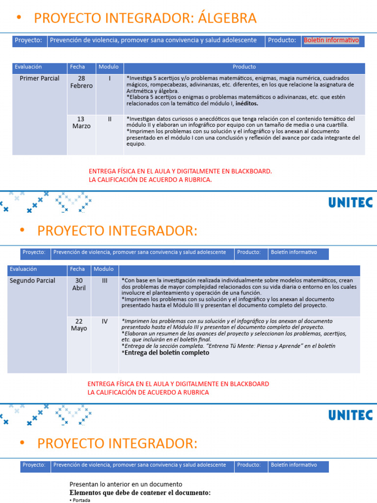 Proyecto Integrador Álgebra | PDF