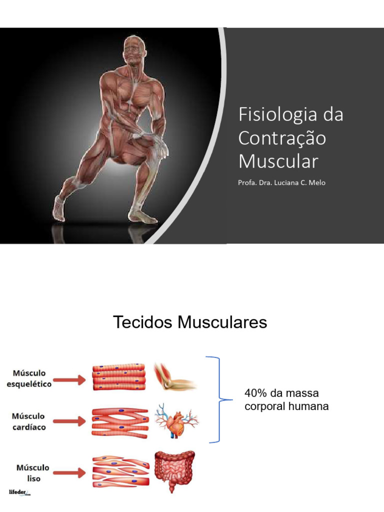 Contração Muscular | PDF | Anatomia | Histologia