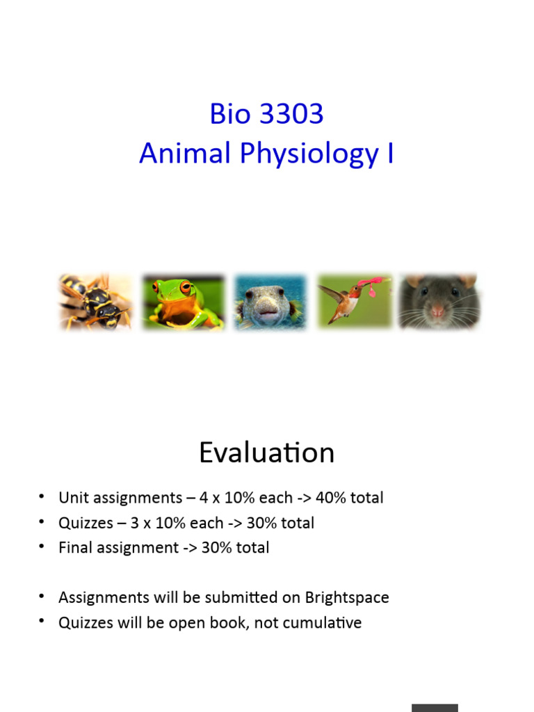 Animal Physiology Course Overview | PDF | Phenotype | Adaptation