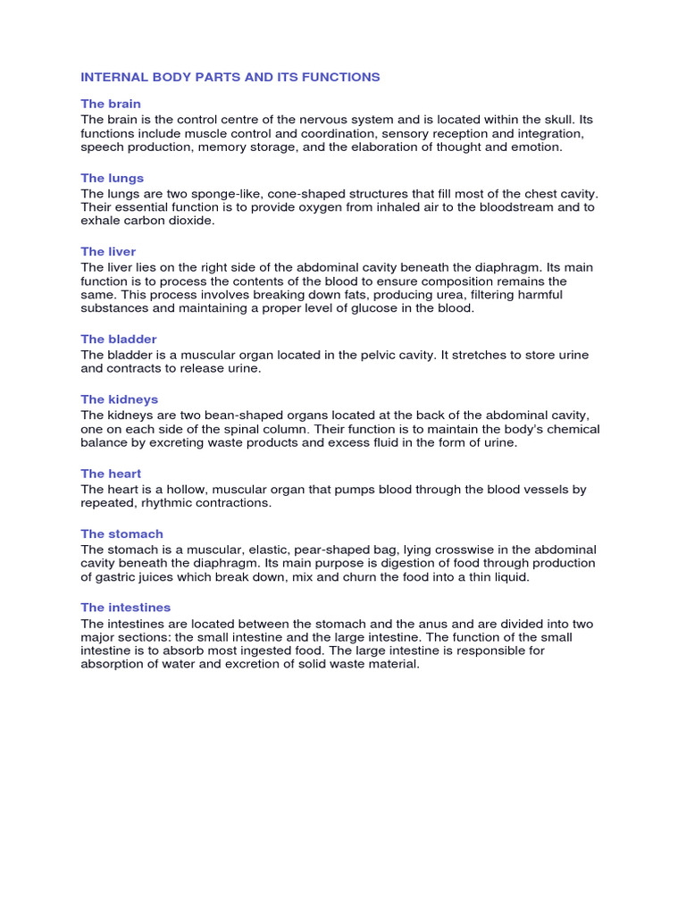 INTERNAL-BODY-PARTS-AND-ITS-FUNCTIONS | PDF