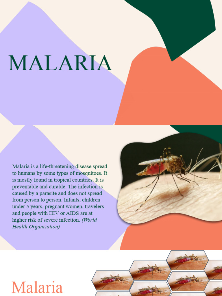 MALARIA | PDF | Malaria | Plasmodium