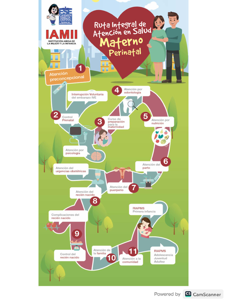 Ruta Materno Perinatal | PDF