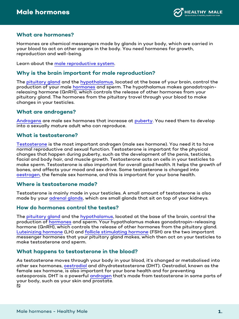 Male Hormones | PDF | Testosterone | Luteinizing Hormone