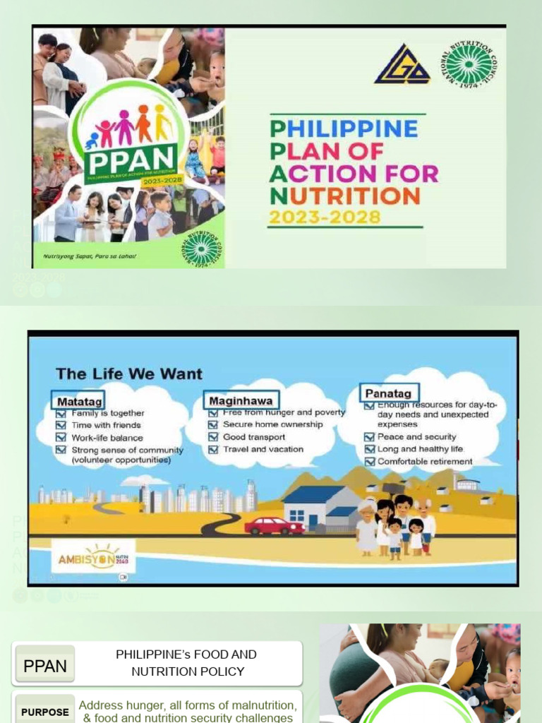 Philippine Nutrition Action Plan 2023-2028 | PDF | Human Nutrition | Wash