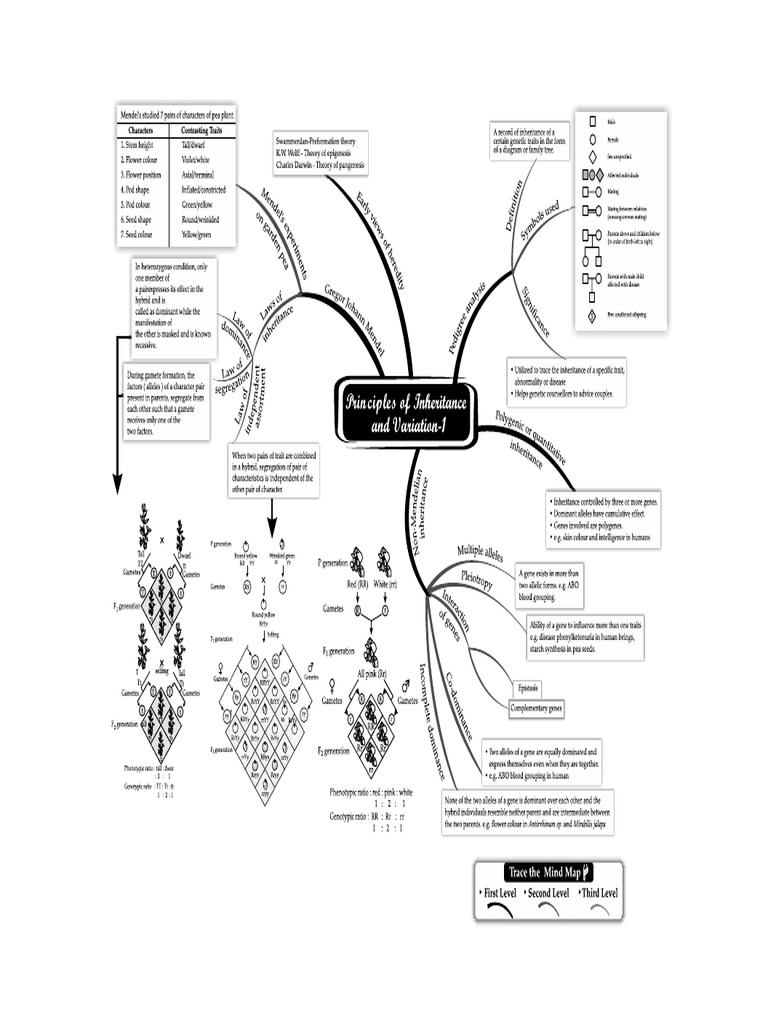 Mind Map Principles of Inheritance 1 | PDF