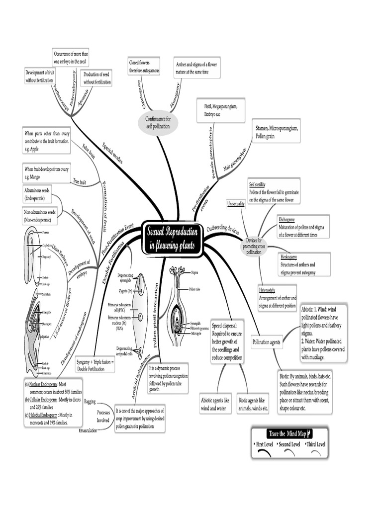 Mind Map Reproduction in Plant | PDF